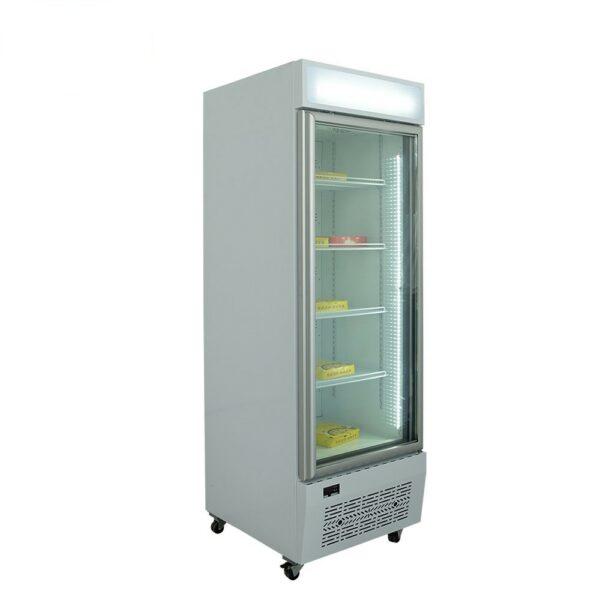 ONE DOOR FREEZER WHITE (SD420) | Cold Display Solutions